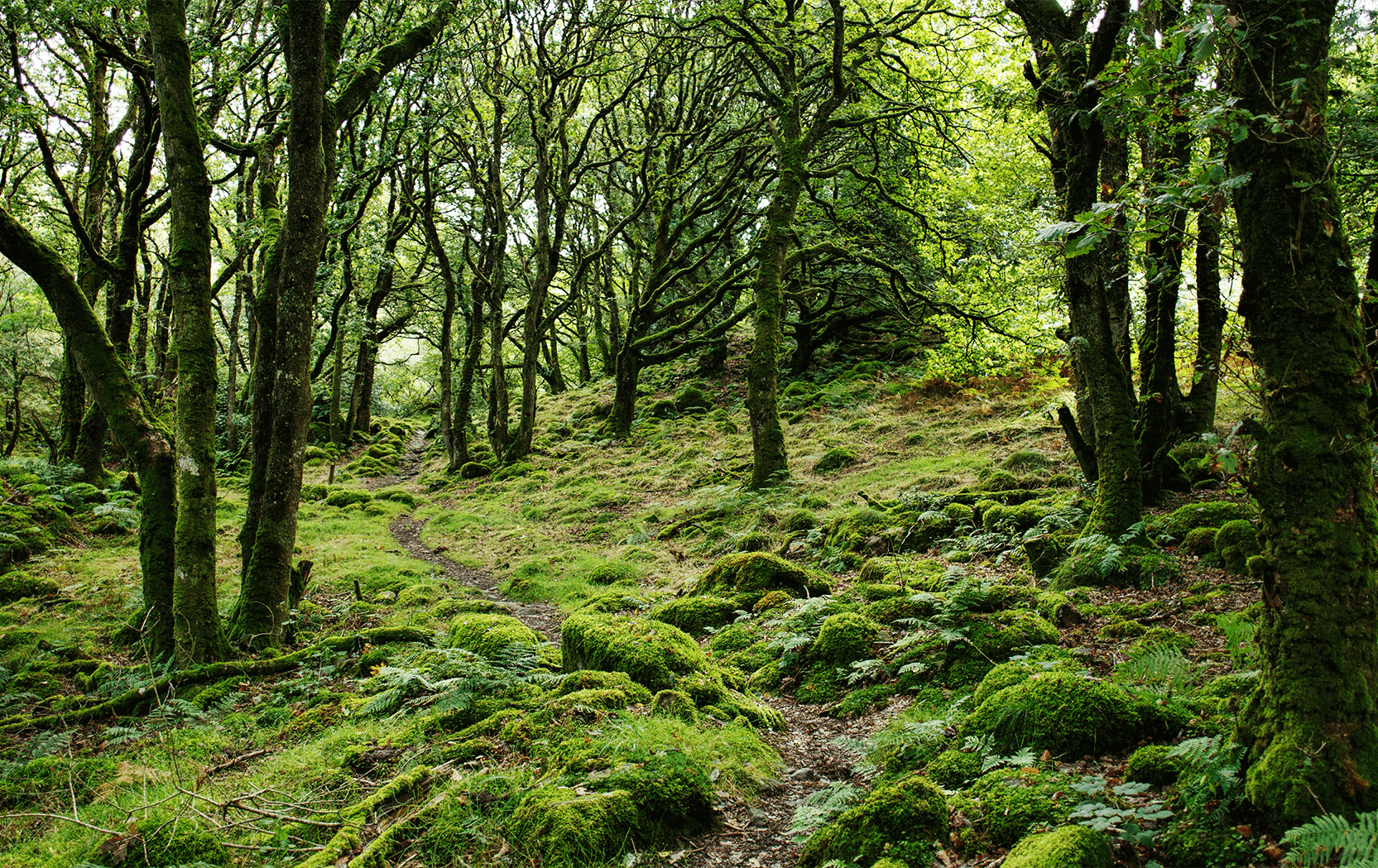 My Approach – Tina Lopes