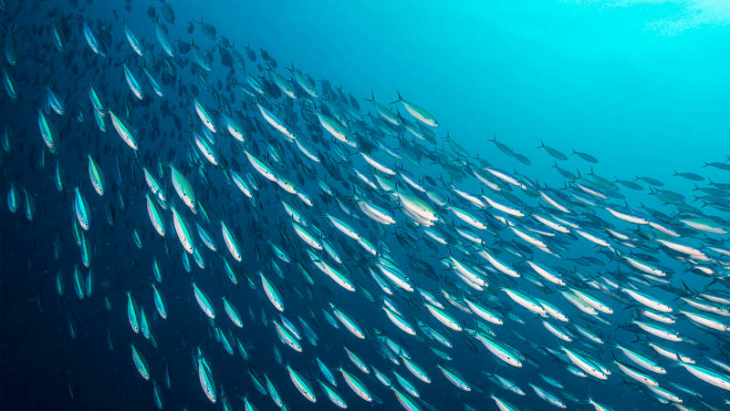 Building Powerful Teams – Tina Lopes